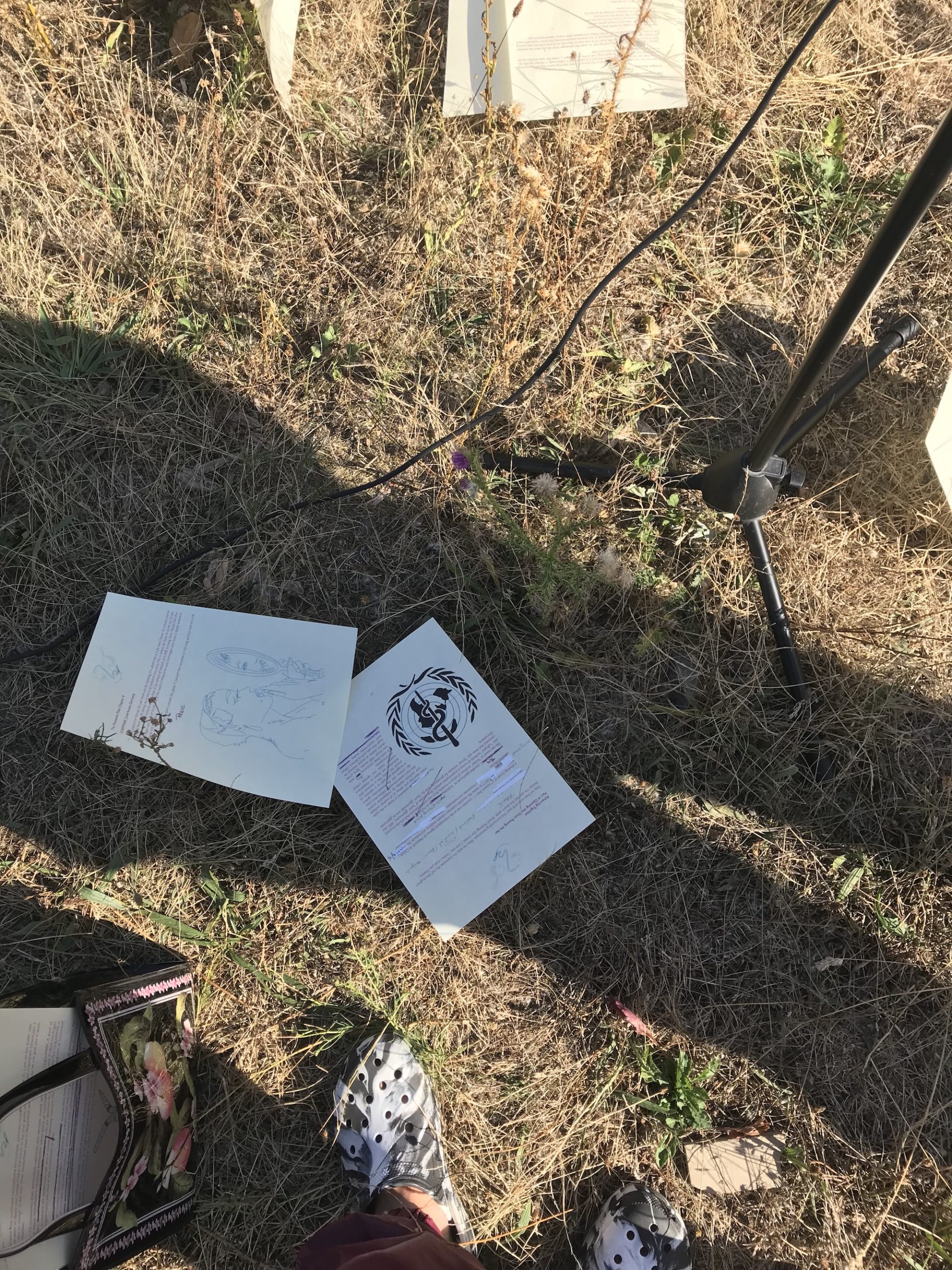 advancing together – Nora Hansen